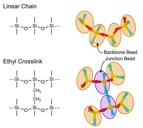 Comparison Of The Linear Pdms Backbone And Ethyl Crosslinking Junctions Download Scientific