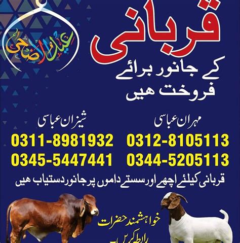 قربانی کے جانور