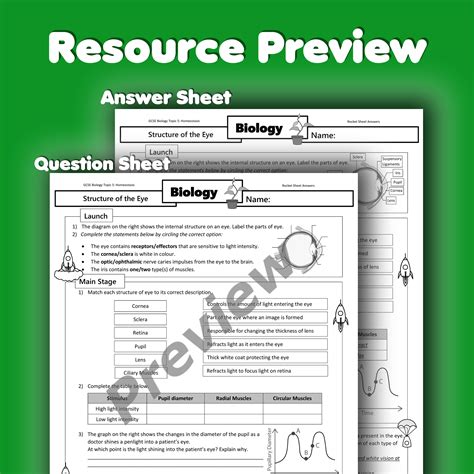 Structure Of The Eye Home Learning Worksheet GCSE Teaching Resources