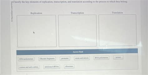 Solved ∁∞ ﻿classify The Key Elements Of Replication