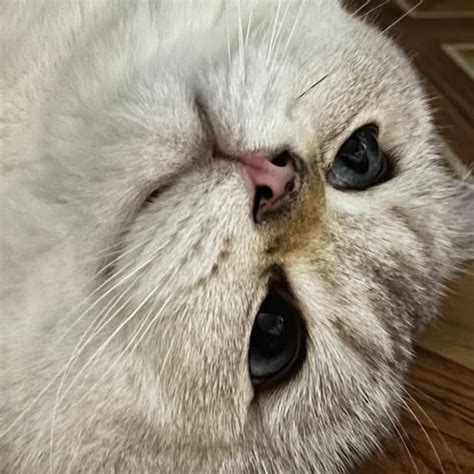 L Wini Y • Threads Say More