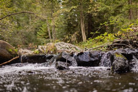 A Multi Benefit Framework For Funding Forest Management In Fire Driven
