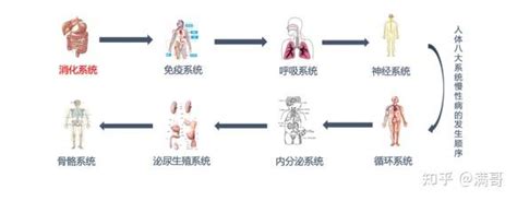 毛孩子“肠寿”才能长寿 陪伴更久 知乎
