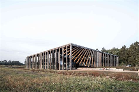 6 Dự án Sáng Tạo ứng Dụng Dãy Fibonacci Khám Phá Vẻ đẹp Toán Học ẩn Giấu Trong Thế Giới Xung Quanh