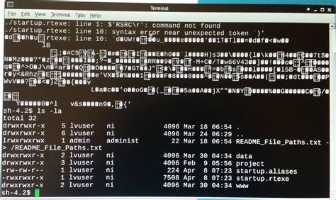 solved run startup rtexe in linux from terminal ni community