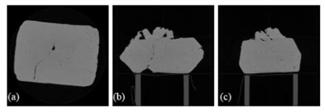 3d structure of a specimen reconstructed by an fdk algorithm a b
