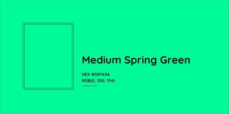 Medium Spring Green Color Color Code