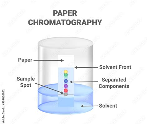 Ascending Paper Chromatography Definition At Leslie Hackett Blog