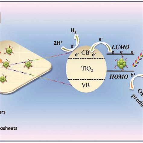 Proposed Mechanism Of Au TiO2 001 Nanosheets For Visible Light Induced Download Scientific