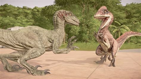 Jurassic World Evolution Velociraptor Vs Deinonychus Jurassic World