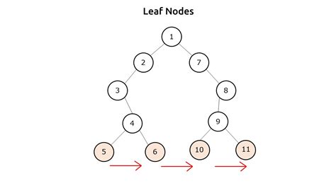 boundary traversal of a binary tree binary tree tutorial