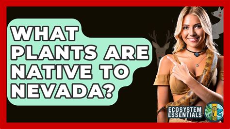 What Plants Are Native To Nevada Ecosystem Essentials Youtube