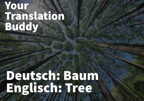 Help You As A German Virtual Assistant Translater And Proofreader By Bergos93 Fiverr