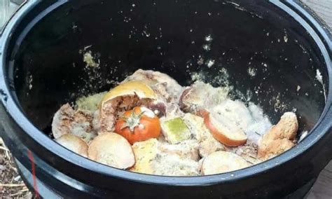 Bokashi Composting How Does It Work Epic Gardening