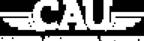 Differences Between Airspace Classifications Cau