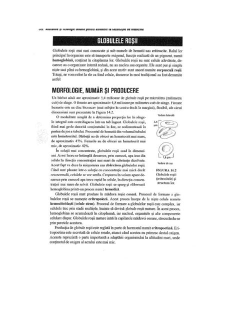 Eritrocite Pdf