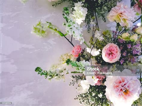 식물 꽃 섬세 한 장미와 피에 난초 꽃 축제 배경 파스텔 및 부드러운 꽃다발 꽃 카드 발렌타인과 경작 개념을 사랑 해요 꽃