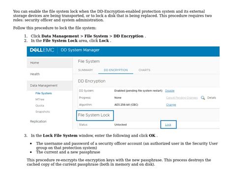 File System Lock Powerprotect Dd Series Appliances Encryption