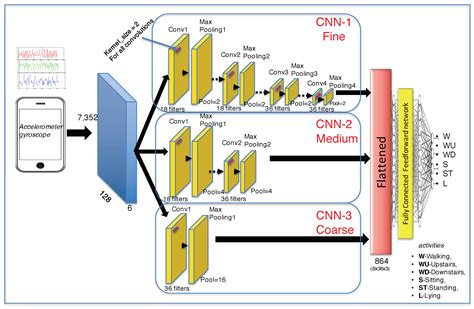 Sensors Free Full Text Coarse Fine Convolutional Deep Learning Strategy For Human Activity