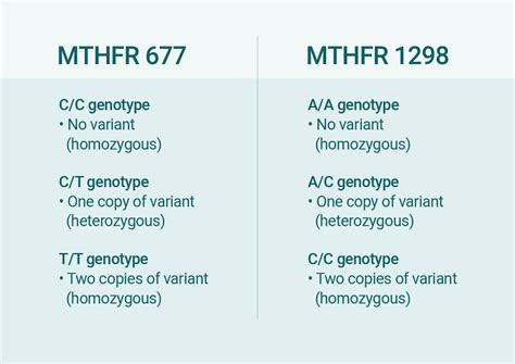 At Home Mthfr Gene Test For Methylation Empowerdx
