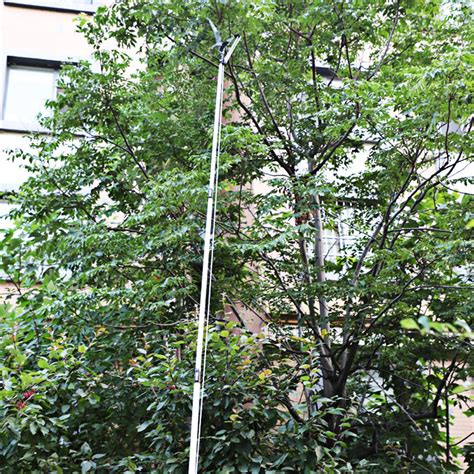 High Altitude Tree Branches Trimmer Extendable Tre Vicedeal