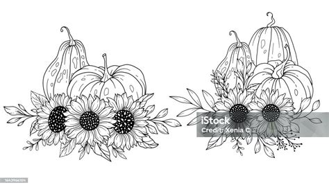 해바라기 라인 아트 일러스트레이션이 있는 호박 호박 배열 윤곽선 손으로 그린 그림 호박과 색칠 공부 페이지입니다 가을에 대한 스톡 벡터 아트 및 기타 이미지 Istock