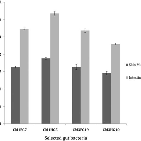 Log Values Of Viable Count Cfu Ml Of The Selected Gut Bacteria Grown Download Scientific
