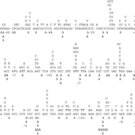 Single Base Error Spectrum Of Dpo4 The Lacz Complementation Sequence