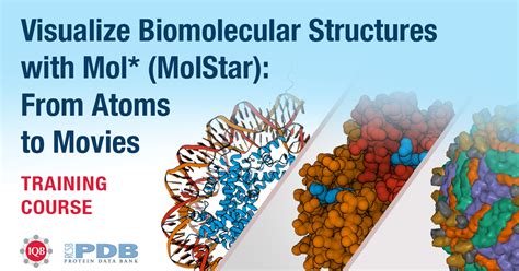 Pdb 101 Visualize Biomolecular Structures With Mol From Atoms To Movies