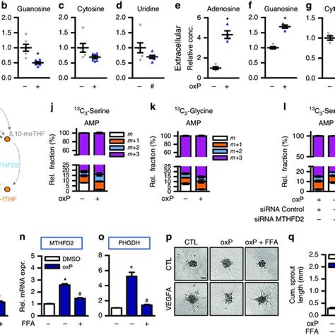 Sofia Bibli Postdoctoral Fellow Goethe Universität Frankfurt Am Main Frankfurt Am Main
