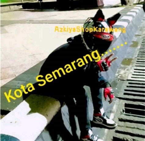 Kuping Helm Lucu Kuping Kucing Viral Telinga Helm Lazada Indonesia