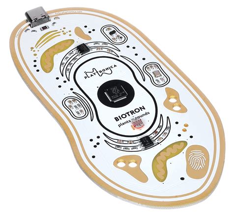 Test Playtronica Biotron Midi Controller Amazonade