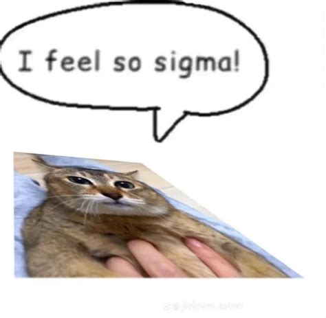 Goofy Ahh Cat Meme😎😎👍 Rcatmemes