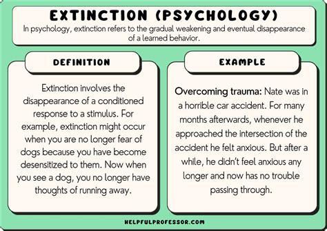 15 Extinction Examples Psychology 2025