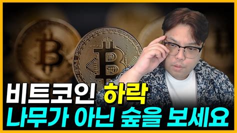 비트코인 손절하면 바보 입니다 불장 곧 또 옵니다 Youtube