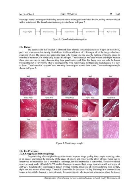 Classification Of Meat Using The Convolutional Neural Network PDF Artificial Intelligence