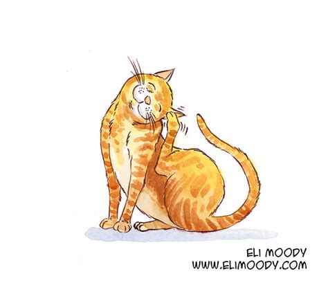 Scratching Cat Eli S Art Pad