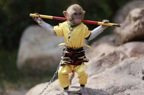 The Origin Of Sun Wukongs Cloud Somersault Journey To The West Research