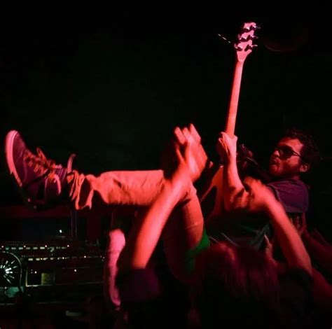 Black Rocket Zebra Programmation Le Vip