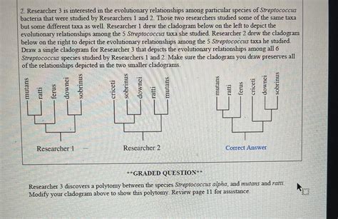 I Need The Graded Question To Be Answered Basically Chegg Com