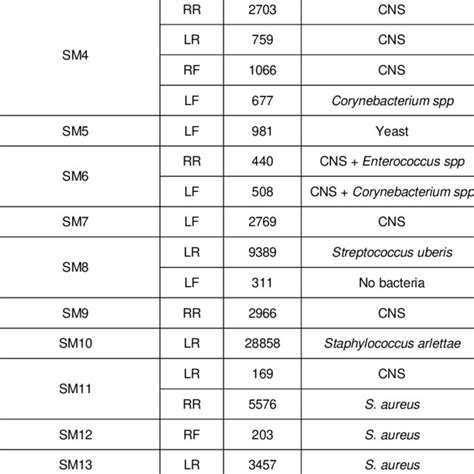Bacterial Identification And Somatic Cell Count Of Subclinical Mastitis Download Scientific