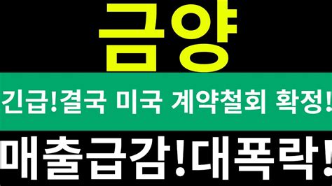 금양 긴급 결국 미국 계약 철회 확정 매출 급감 대폭락 2차전지배터리테슬라신재생4695금양주식엔솔원통형jp모건투자대외비미국철회매출급감