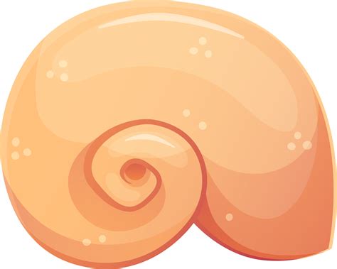 Colorful Tropical Shell Pngsummer Concept In Cartoon Style