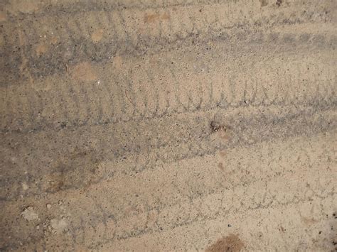 Local Raw Textures Tx000428