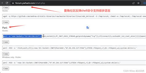 Day79：服务攻防 中间件安全andiisandapacheandtomcatandnginxand弱口令and不安全配置andcveapache Tomcat中间建 Csdn博客