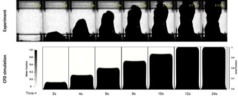 Experimental Visualization Top And CFD Simulation Bottom Of Download Scientific Diagram