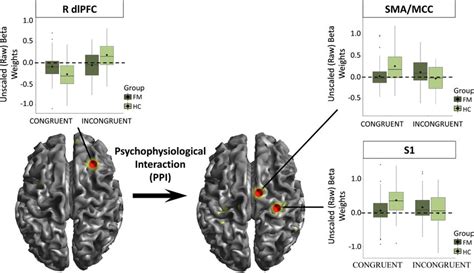 Illustrates Psychophysiological Interaction Ppi Functional