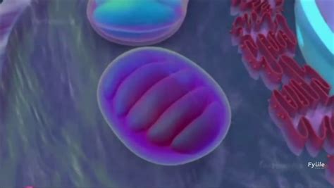 Cells Art Integrated Projects And Online Educational Video By Fyule