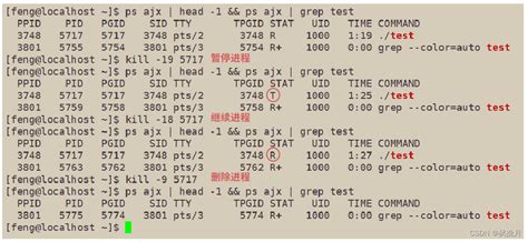 【linux】进程详解 linux里面进程长啥样 csdn博客