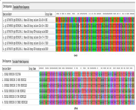 single nucleotide polymorphism analysis in several loci using multiple